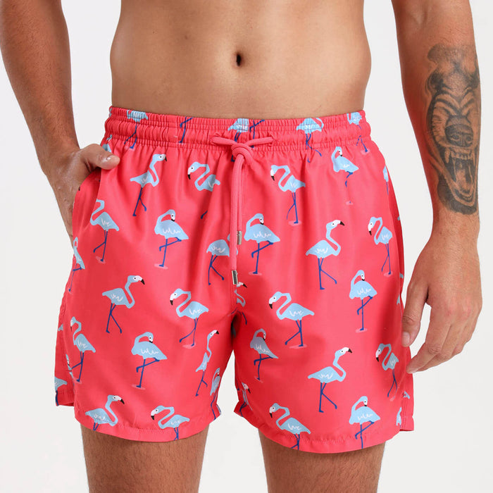 Breazies Swim Shorts - Flamingo | Coral